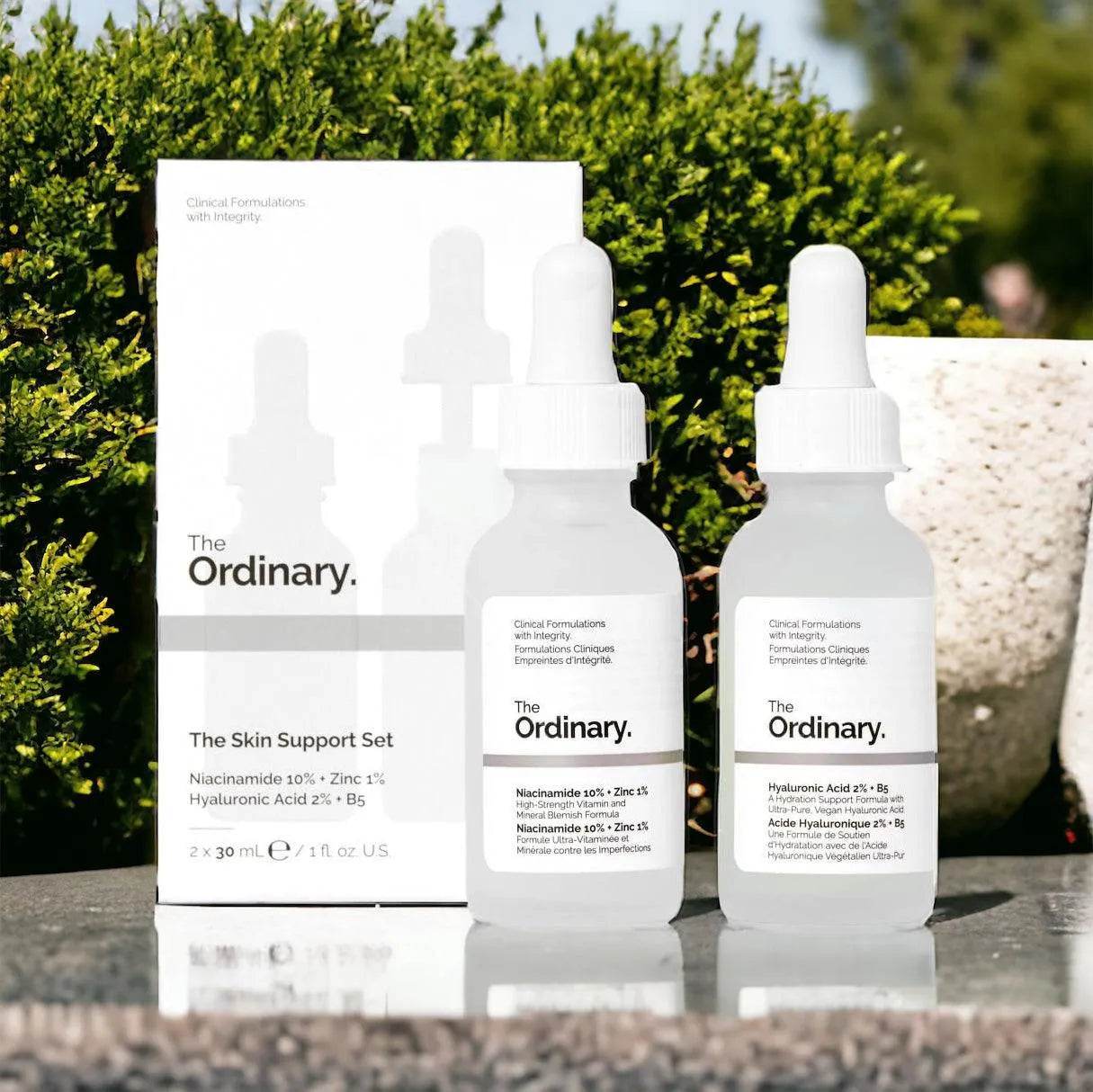 The Ordinary The Skin Support Set ( Niacinamide & Hyaluronic Acid ...
